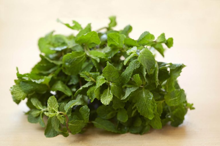 Peppermint – Simply Fresh Organic Farms